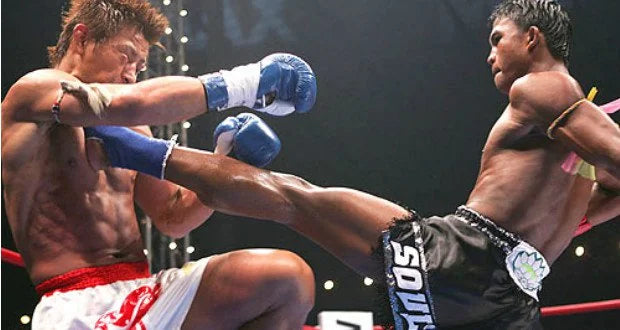 5 Ways To use the Teep Push Kick In Muay Thai, MMA and Combat Sports ...